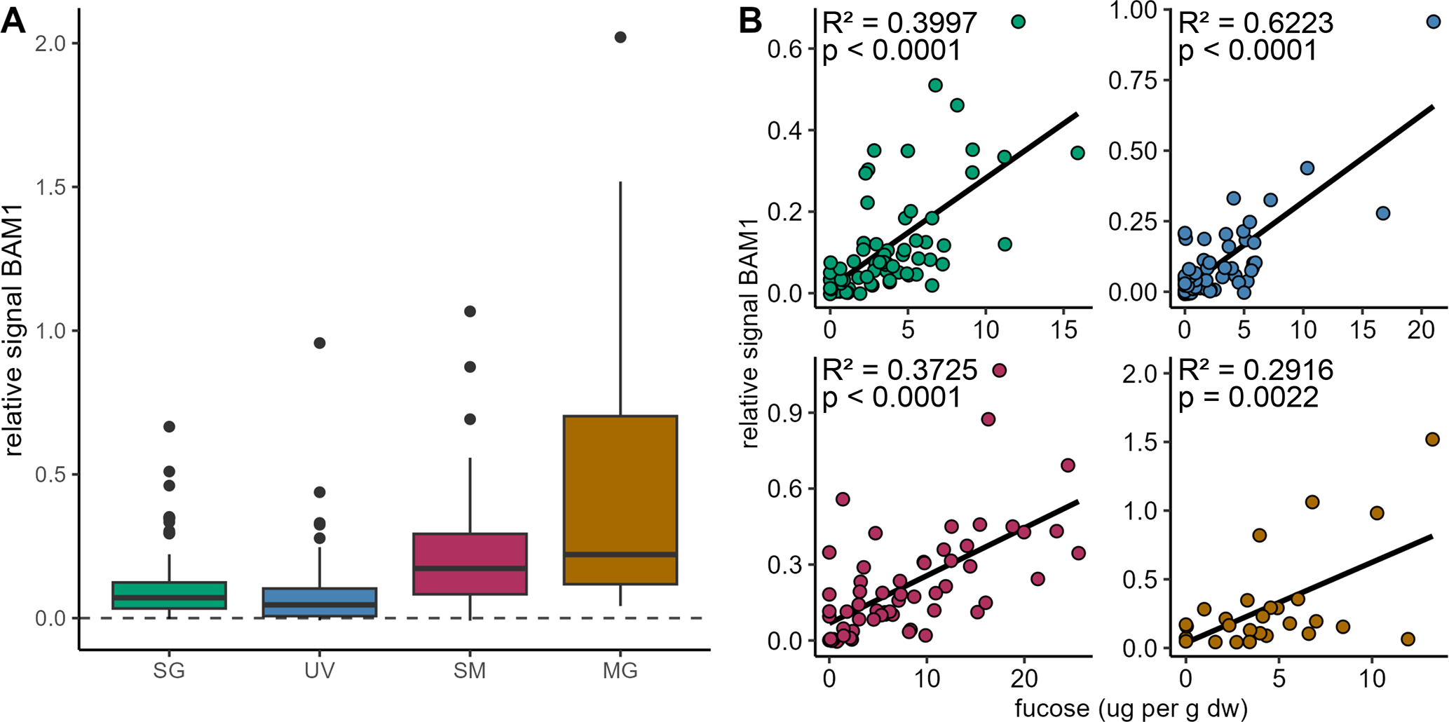 BG - Fucoidan carbon is stored in coastal vegetated ecosystems
